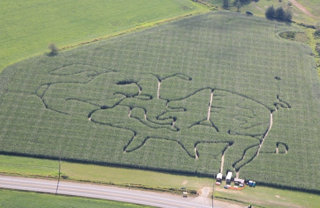 Corn Maze History - Lynden FFA
